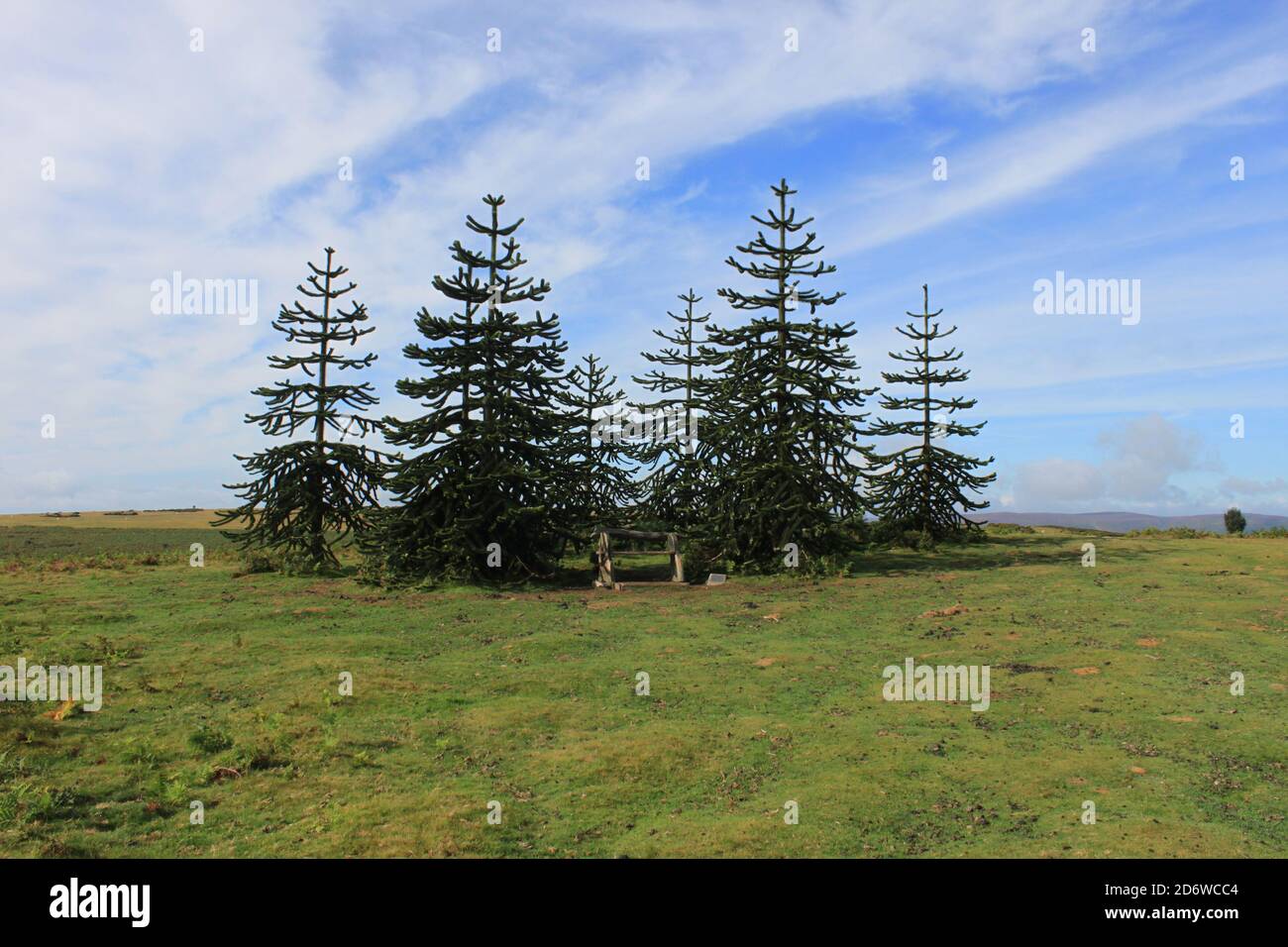 Offa's Dyke Path. National Trail. Long-distance trail. Anglo–Welsh ...