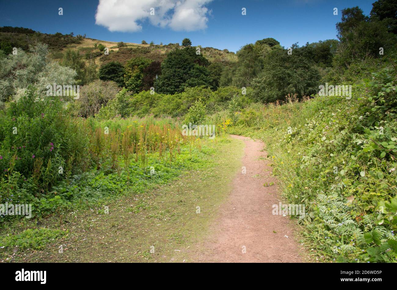 View towards Arthur Seat from Duddingston Loch in Edinburgh, Scotland ...