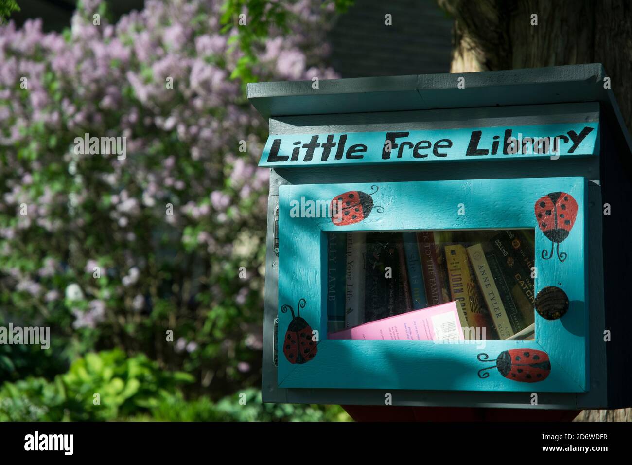 Little free library in London Ontario and St Thomas Ontario Canada ...