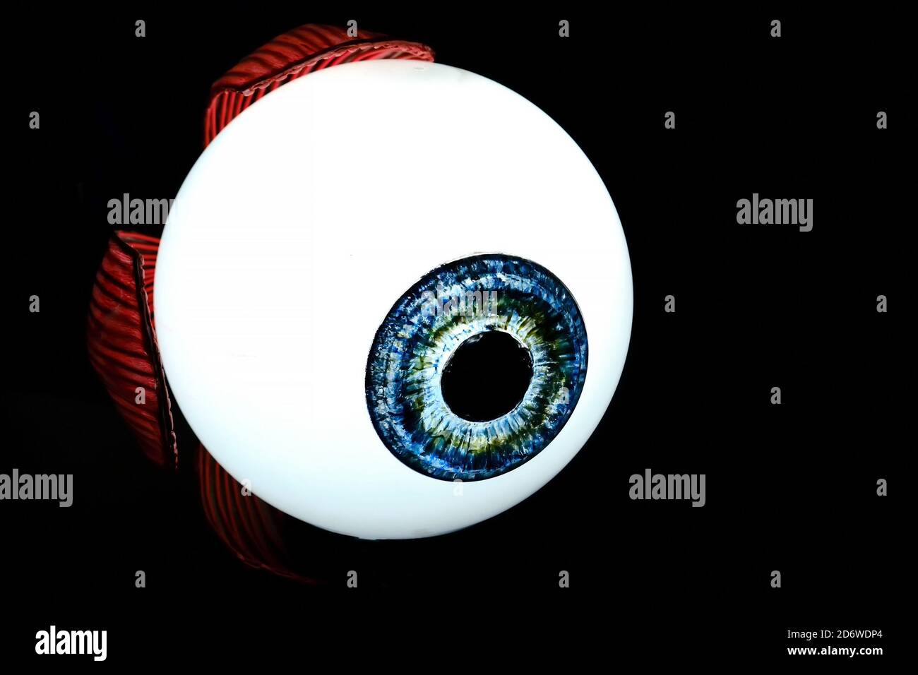 Luminous eye hi-res stock photography and images - Alamy