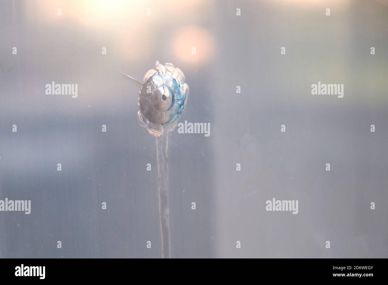 Damaged from a shot window. Bullet hole in the glass, close-up. P Stock ...