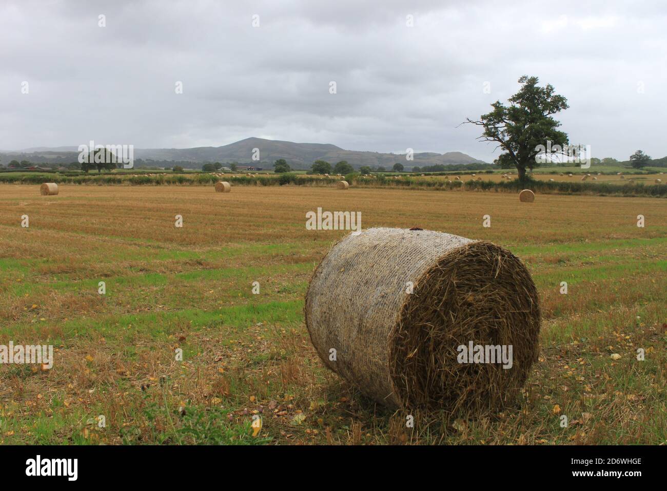 Offa's Dyke Path. National Trail. Long-distance trail. Anglo–Welsh ...