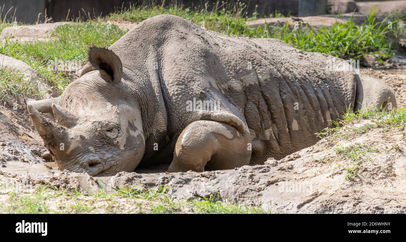 County zoo hi-res stock photography and images - Alamy