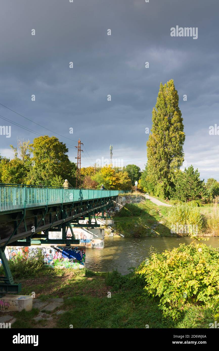 Cyclist in wienerwald hi-res stock photography and images - Alamy