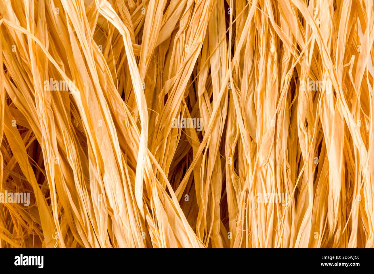 Closeup of golden hay Stock Photo - Alamy