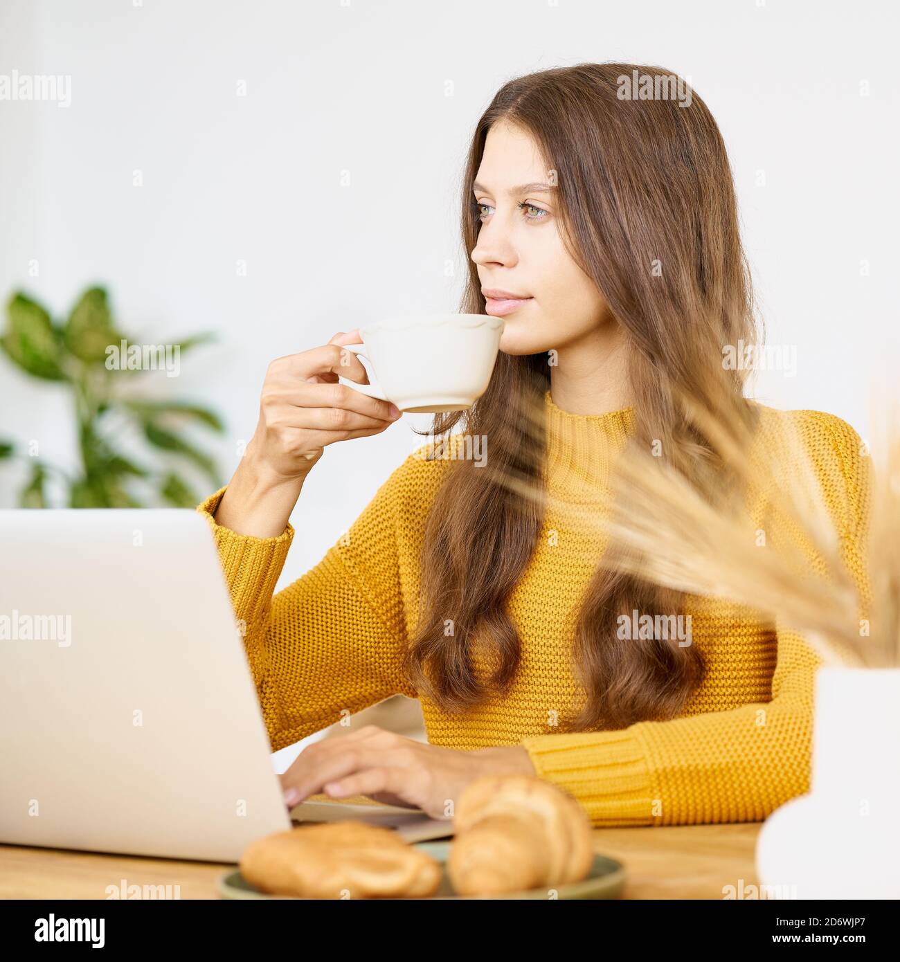 Young female enjoying morning coffee and checking emails on laptop ...