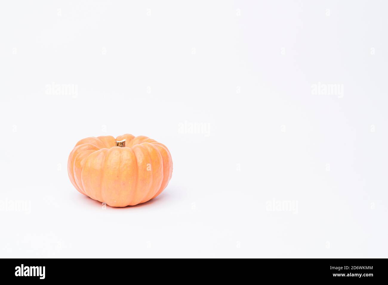 Single pumpkin on a white background Stock Photo - Alamy