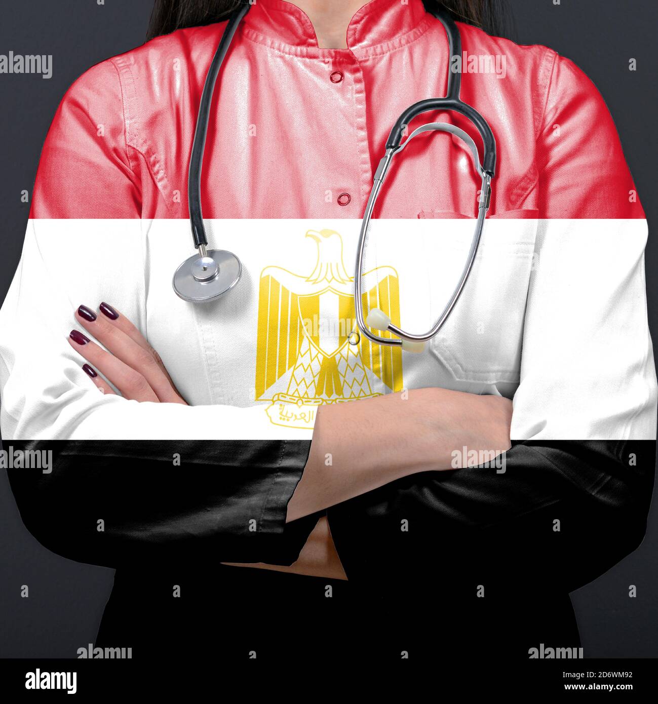 Doctor representing healthcare system with National flag of Egypt Stock ...