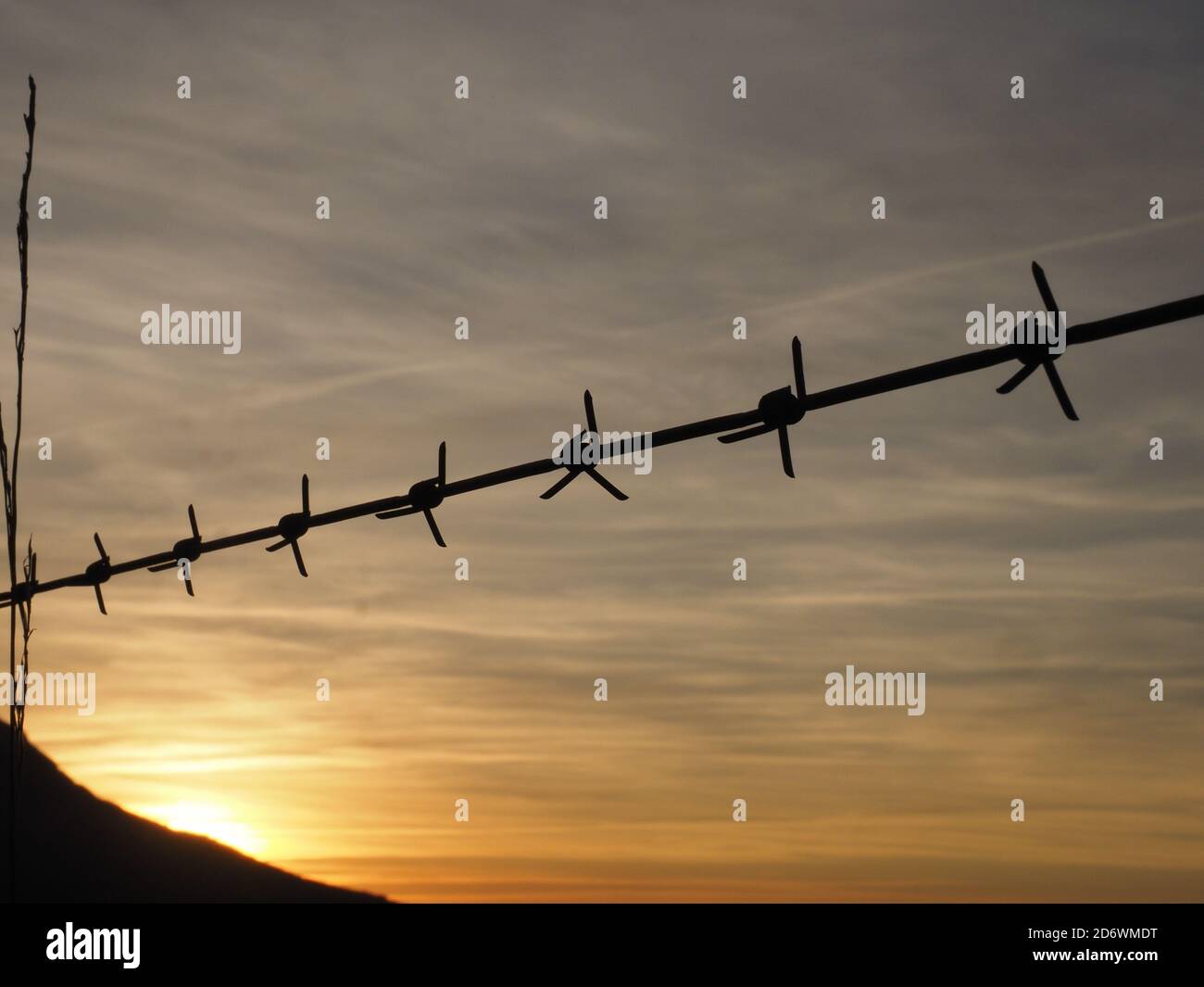 barbed wire with a sunset view behind Stock Photo - Alamy
