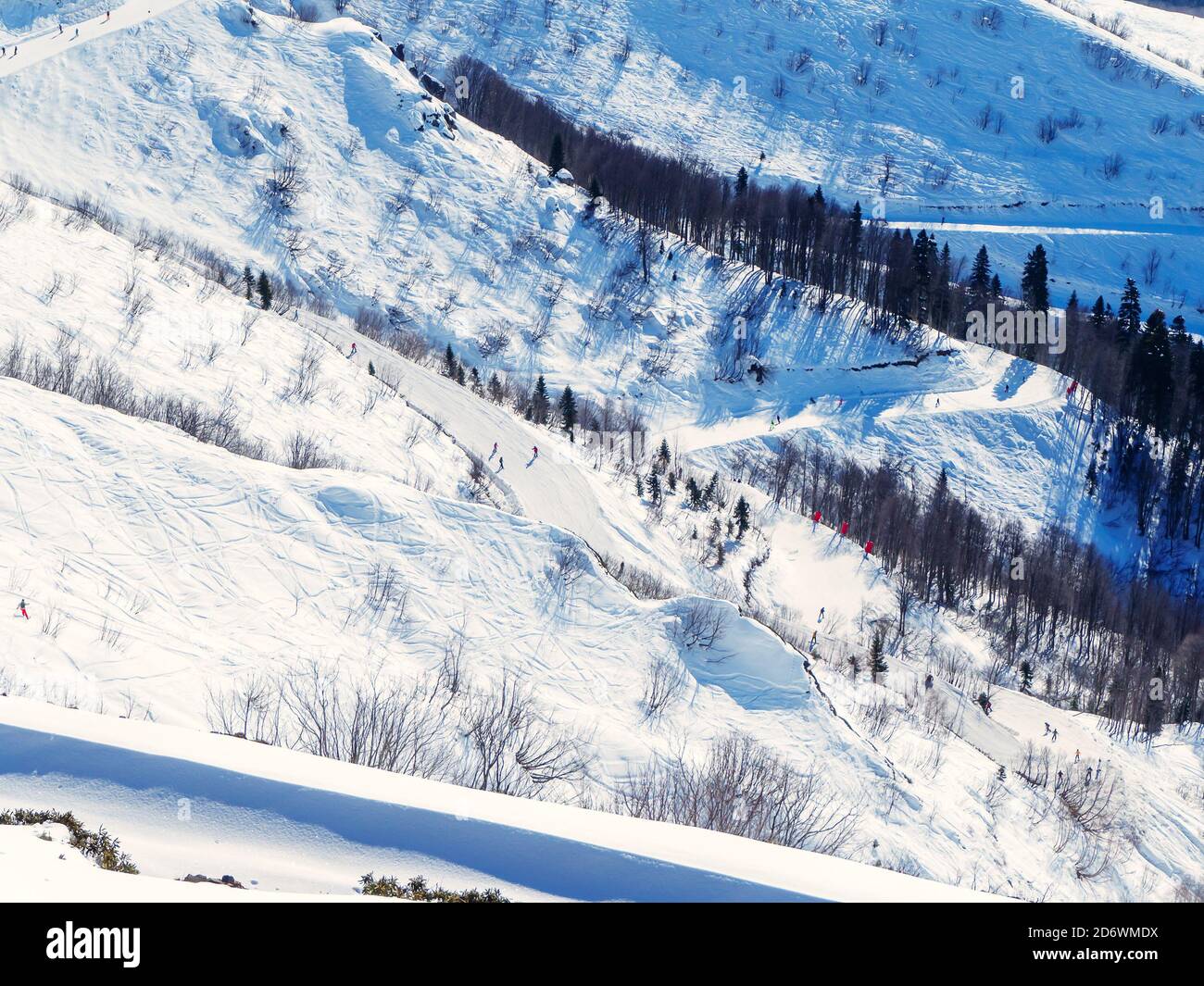 Ski slopes with pistes and trees along. View from above Stock Photo - Alamy