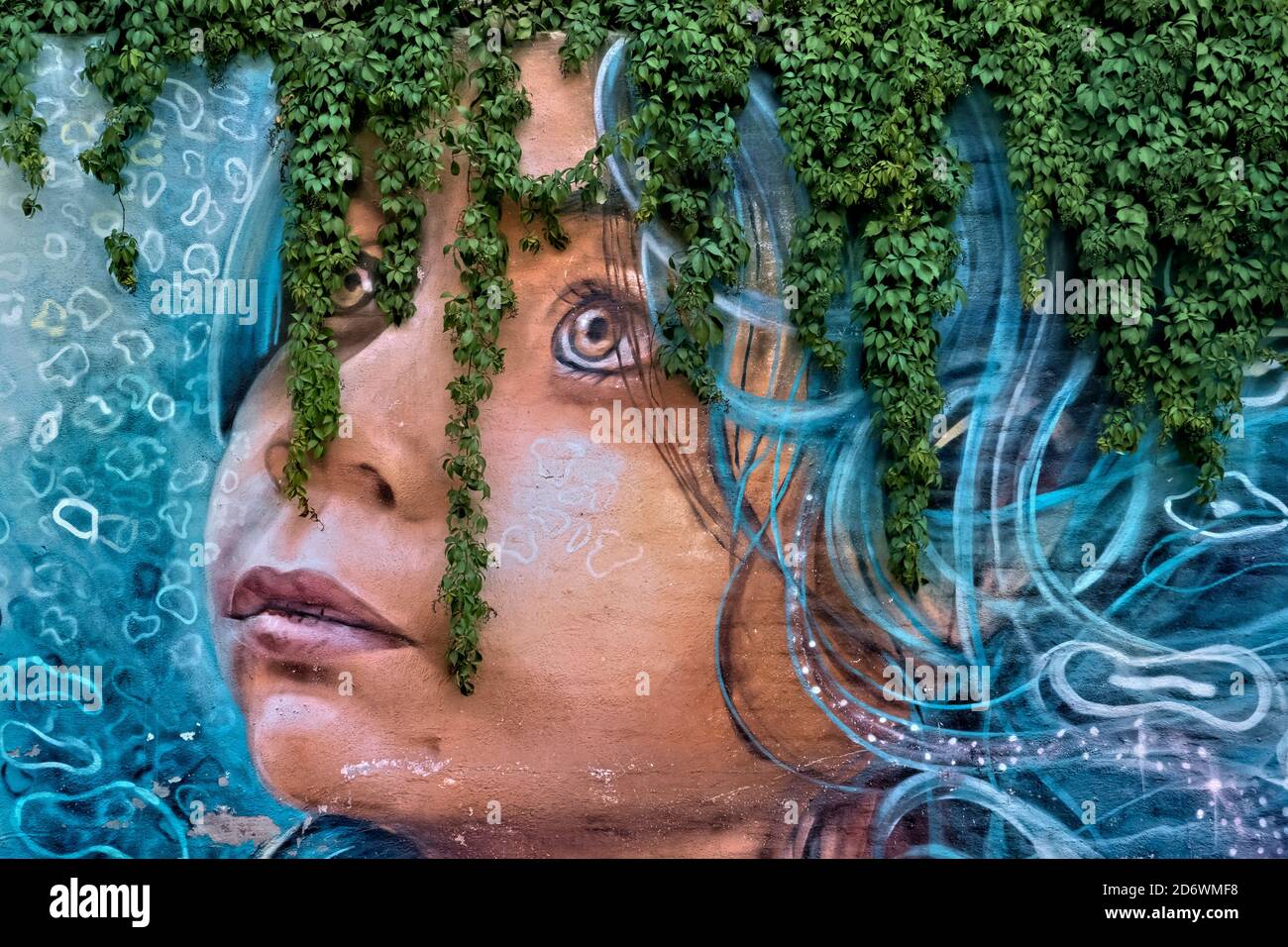 Beautiful mural and greenery in the Guadalupe neighborhood, San Miguel ...