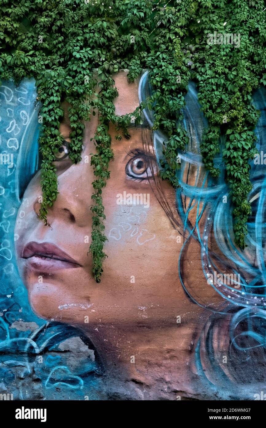 Beautiful mural and greenery in the Guadalupe neighborhood, San Miguel ...