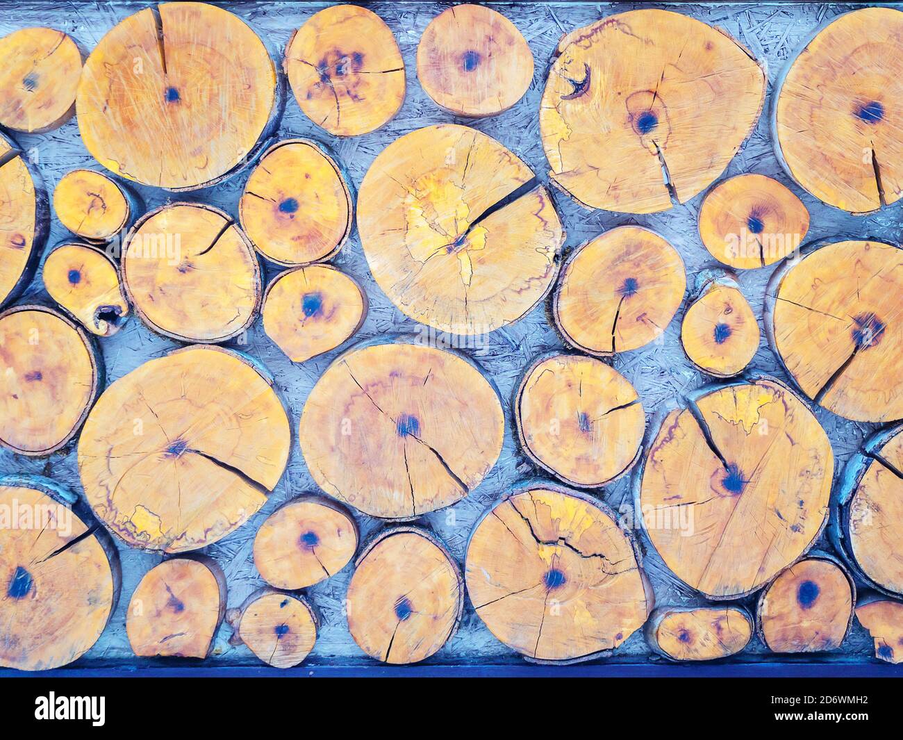 Decorative panel with pattern of round log slices of different sizes ...