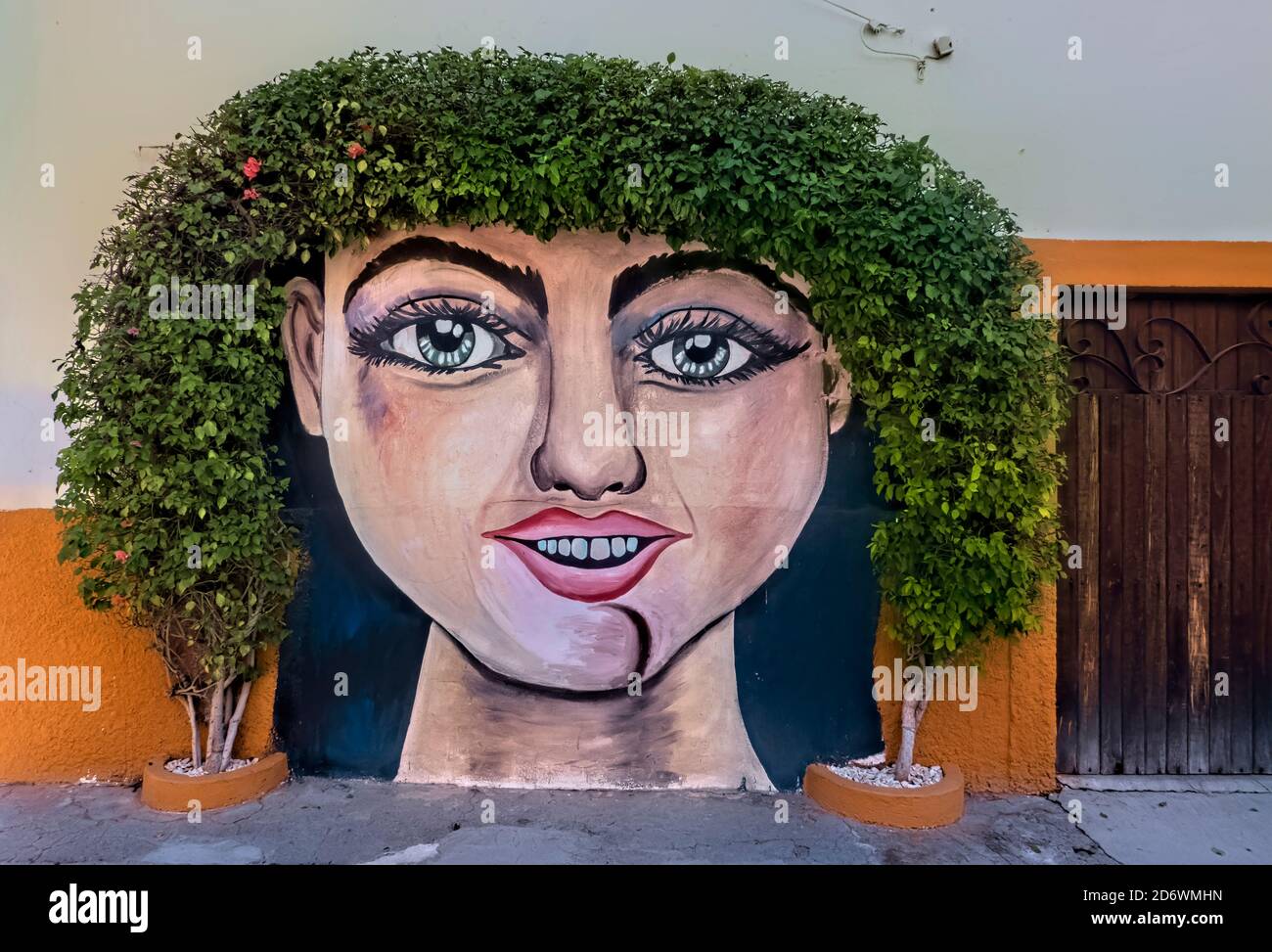 Beautiful mural and greenery in the Guadalupe neighborhood, San Miguel ...