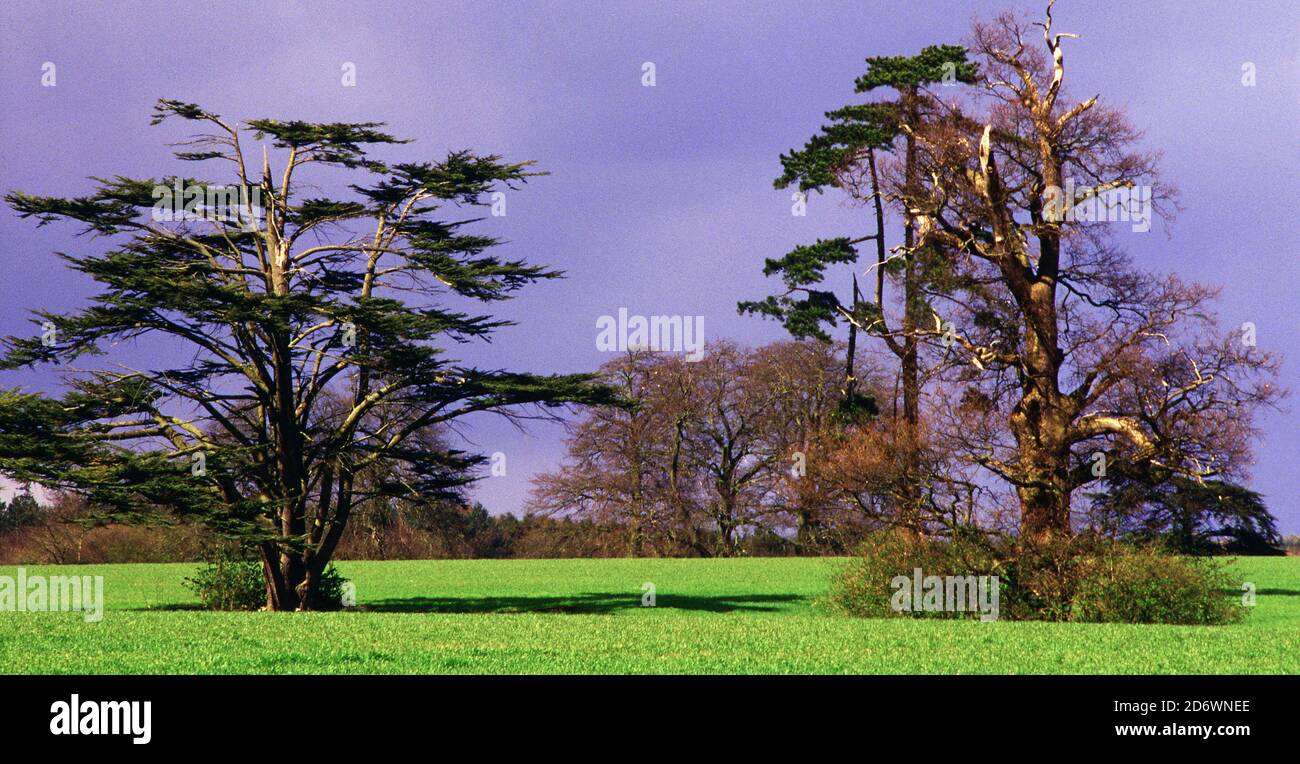 Landscape designed by capability brown hi-res stock photography and ...