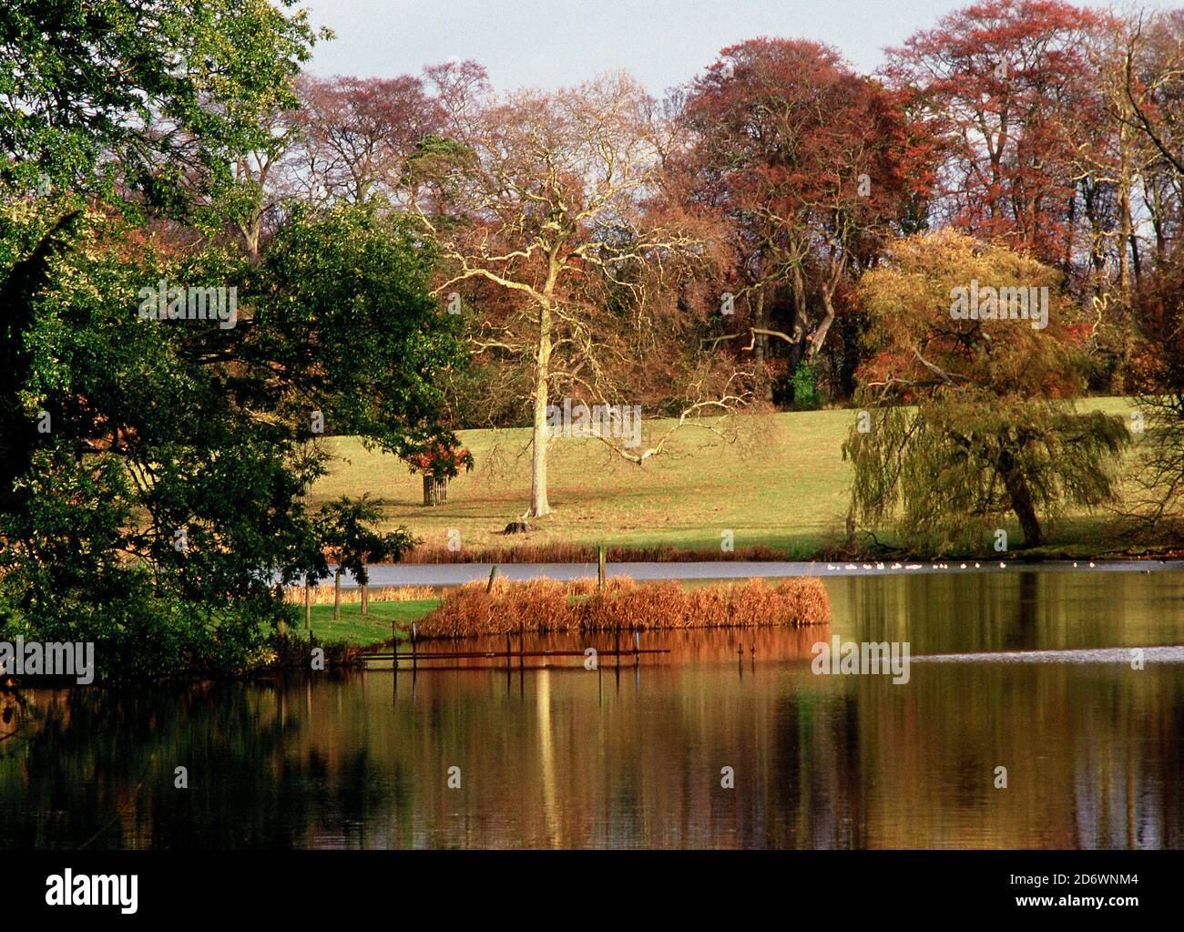 Capability Brown's Craft - the man-made lake at Castle Ashby Stock ...
