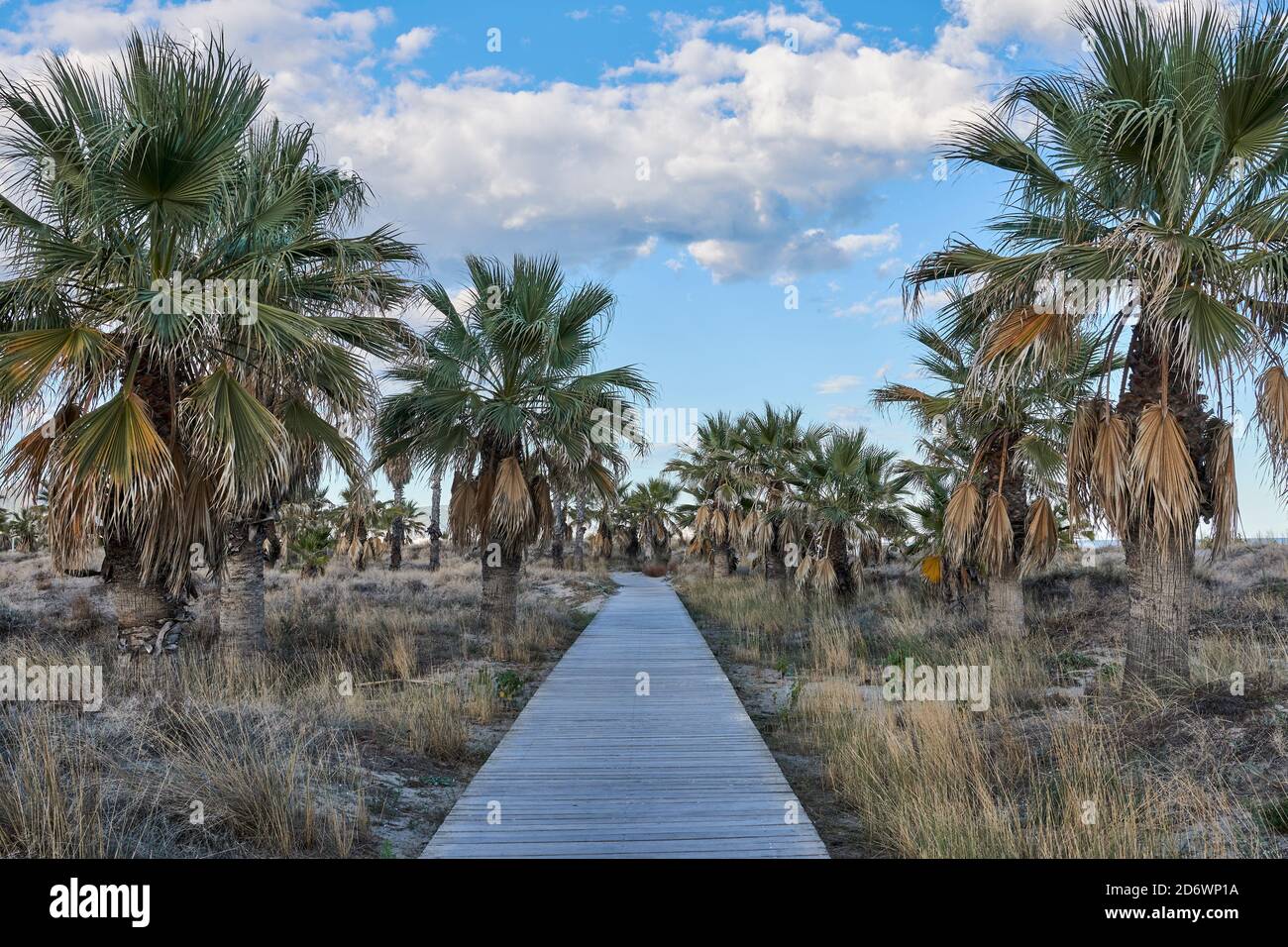 Pinar beach spain hi-res stock photography and images - Alamy