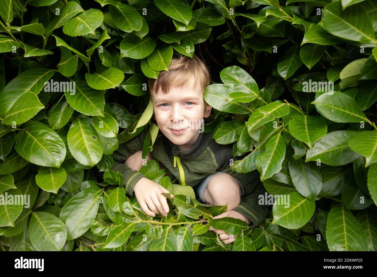 Boy immersed in nature Stock Photo - Alamy