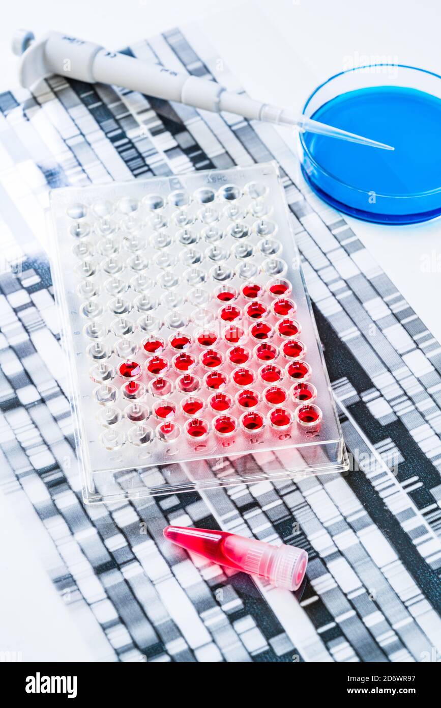 Genetics research laboratory Stock Photo - Alamy