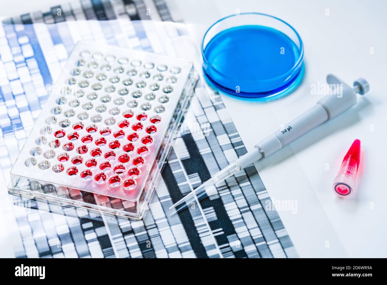 Genetics research laboratory Stock Photo - Alamy