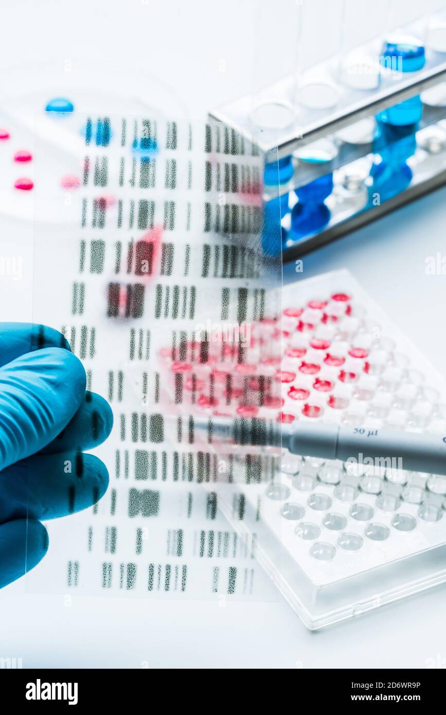 Genetics research laboratory Stock Photo - Alamy