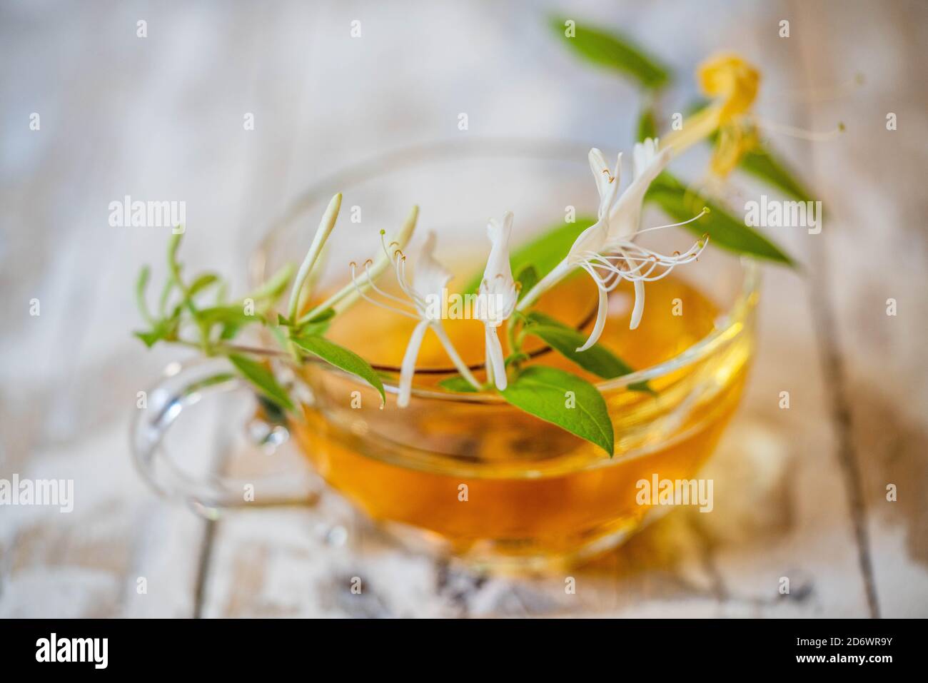 Honeysuckle drink hi-res stock photography and images - Alamy