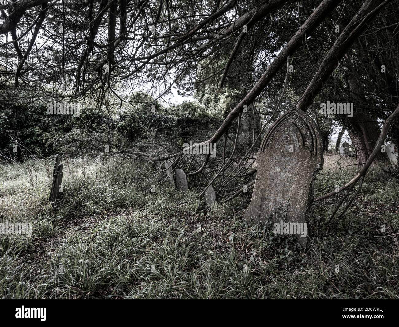 Merther Chapel Church nr Truro overgrown abandoned and derelict Stock ...