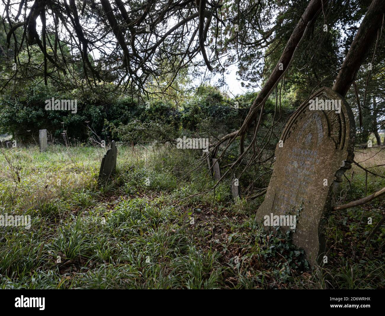 Merther Chapel Church nr Truro overgrown abandoned and derelict Stock ...