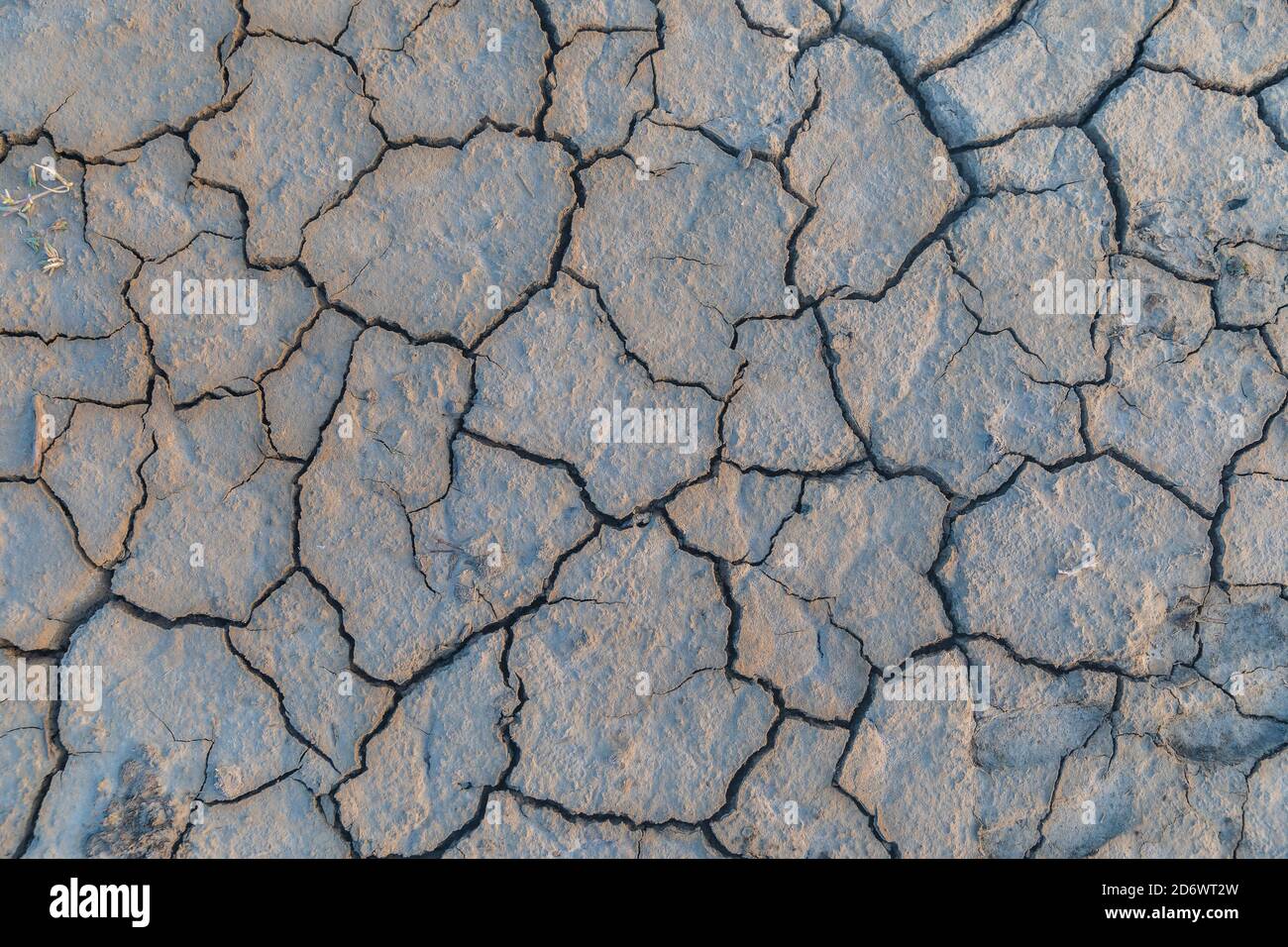 Cracked dry ground. Dry ground texture Stock Photo - Alamy