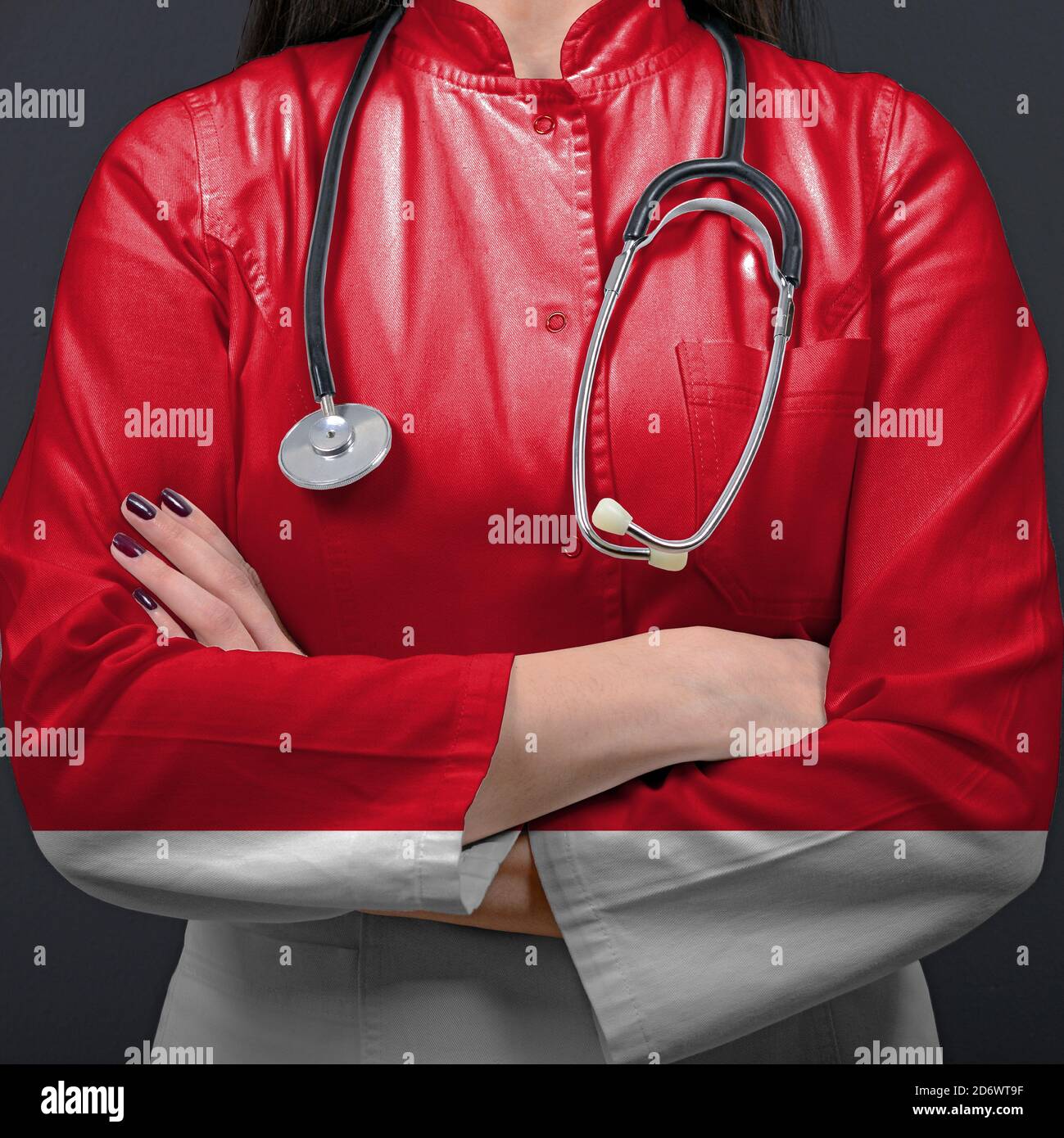 Doctor representing healthcare system with National flag of Monaco ...