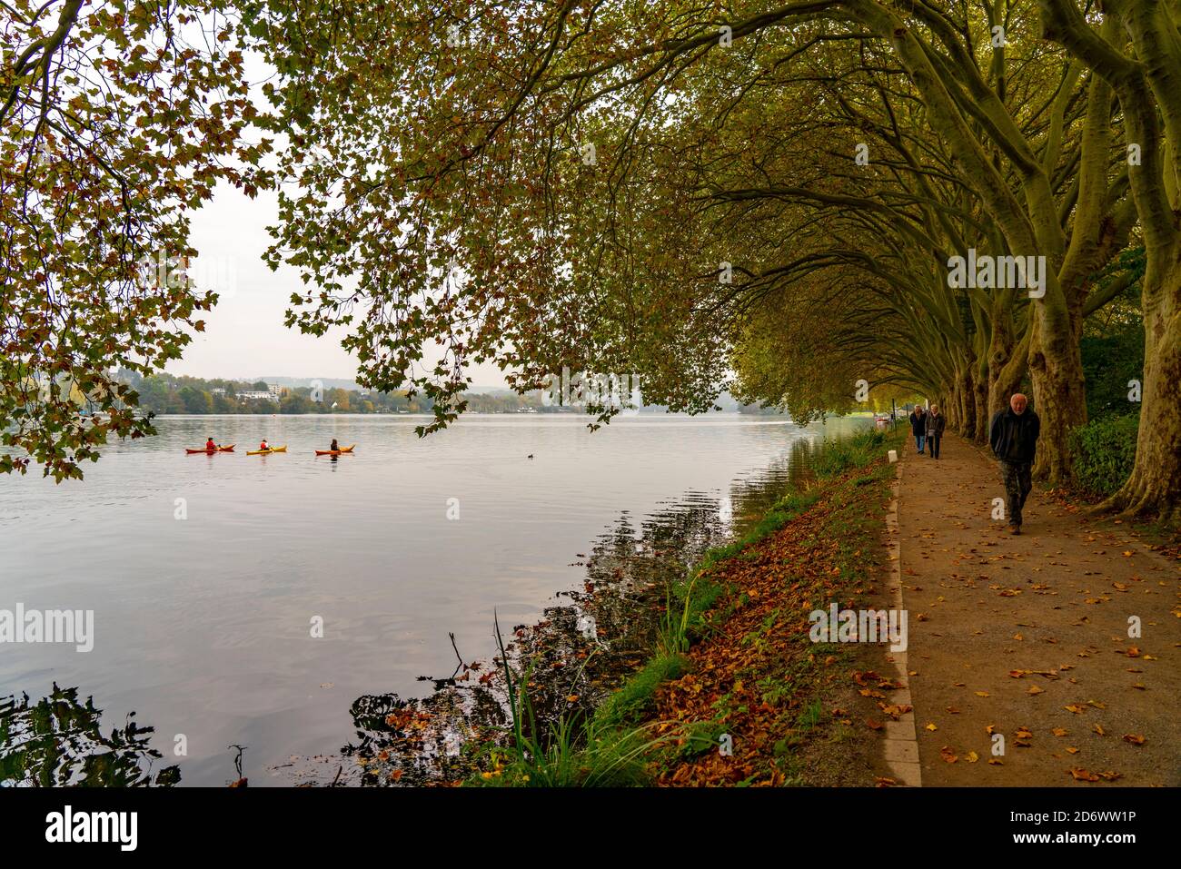 Lake Baldeney in Essen, a reservoir of river Ruhr, autumn, NRW, Germany ...