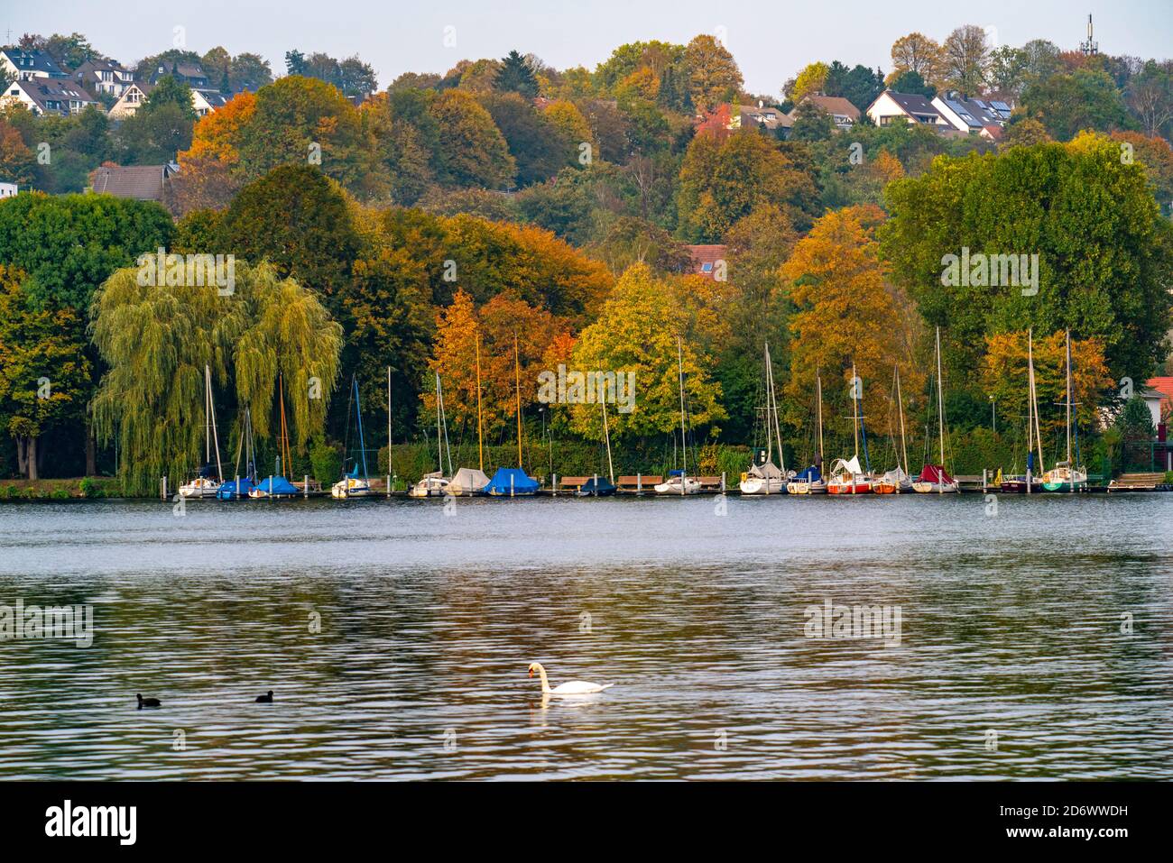 Lake Baldeney in Essen, a reservoir of river Ruhr, autumn, NRW, Germany ...