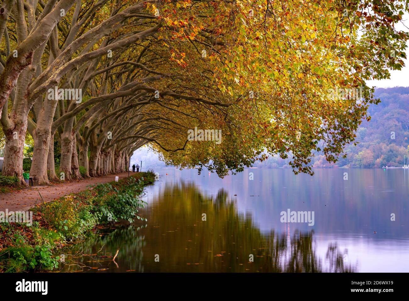 Haus scheppen baldeney hi-res stock photography and images - Alamy