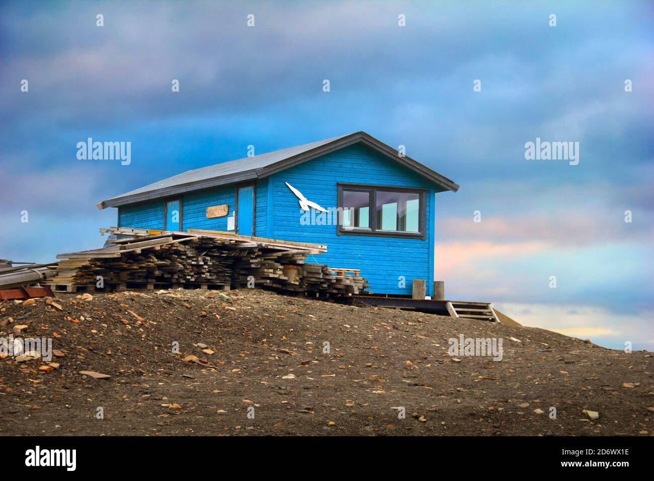 Picturesque arctic view - blue colored wooden house with white seagull ...