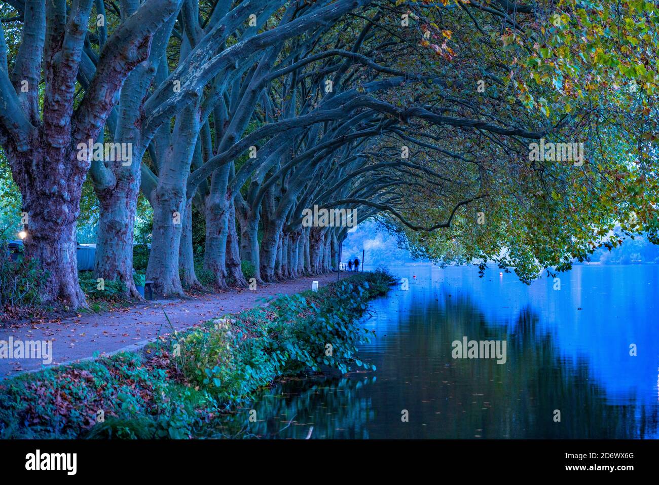 Baldeneysee lake and haus scheppen hi-res stock photography and images ...