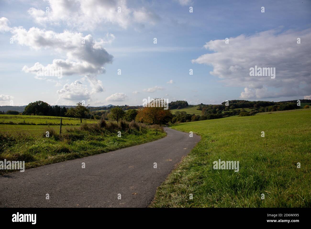asphalt way trough countryside view of a meadow, fileds, trees and ...