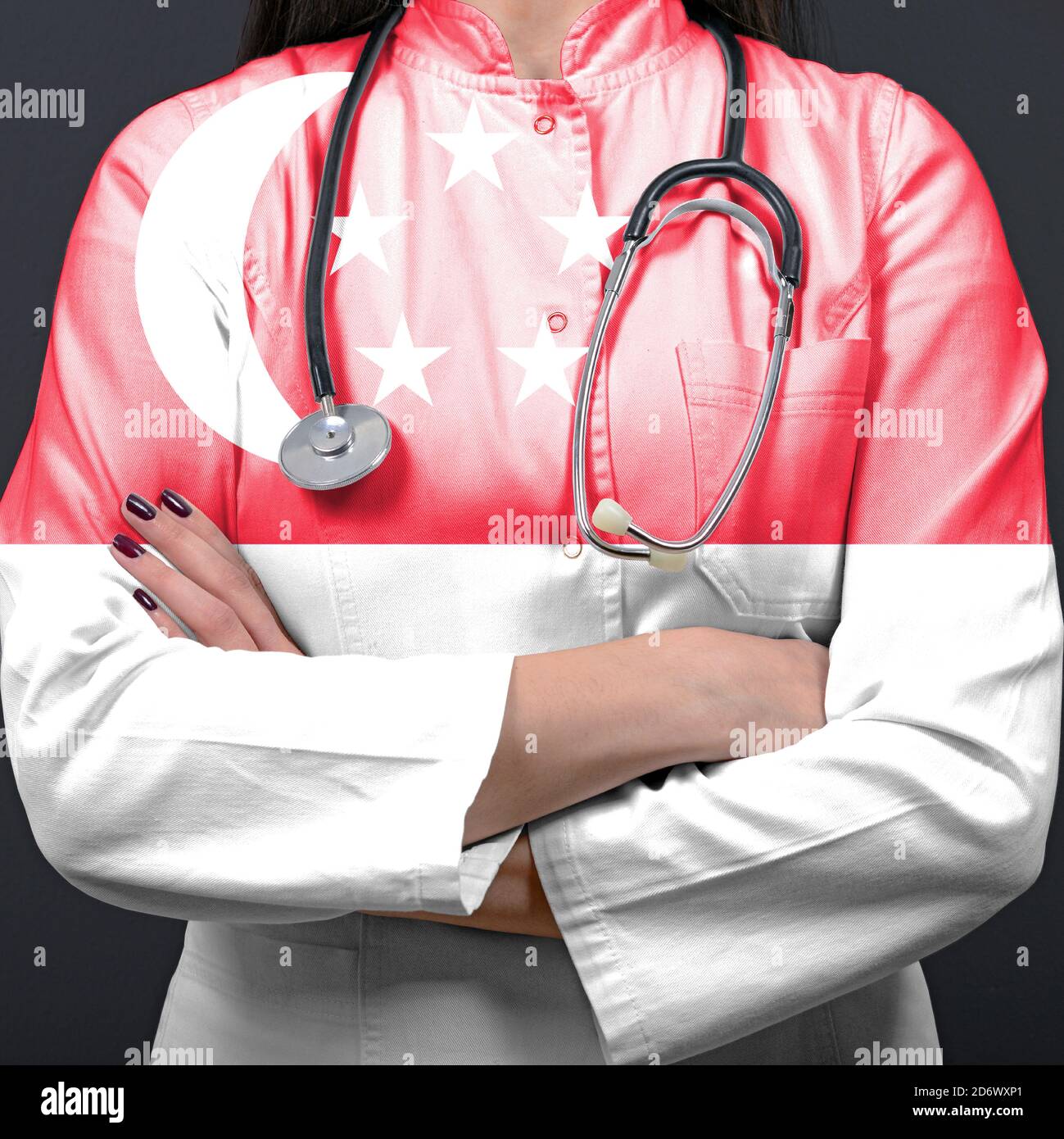 Doctor representing healthcare system with National flag of Singappore ...