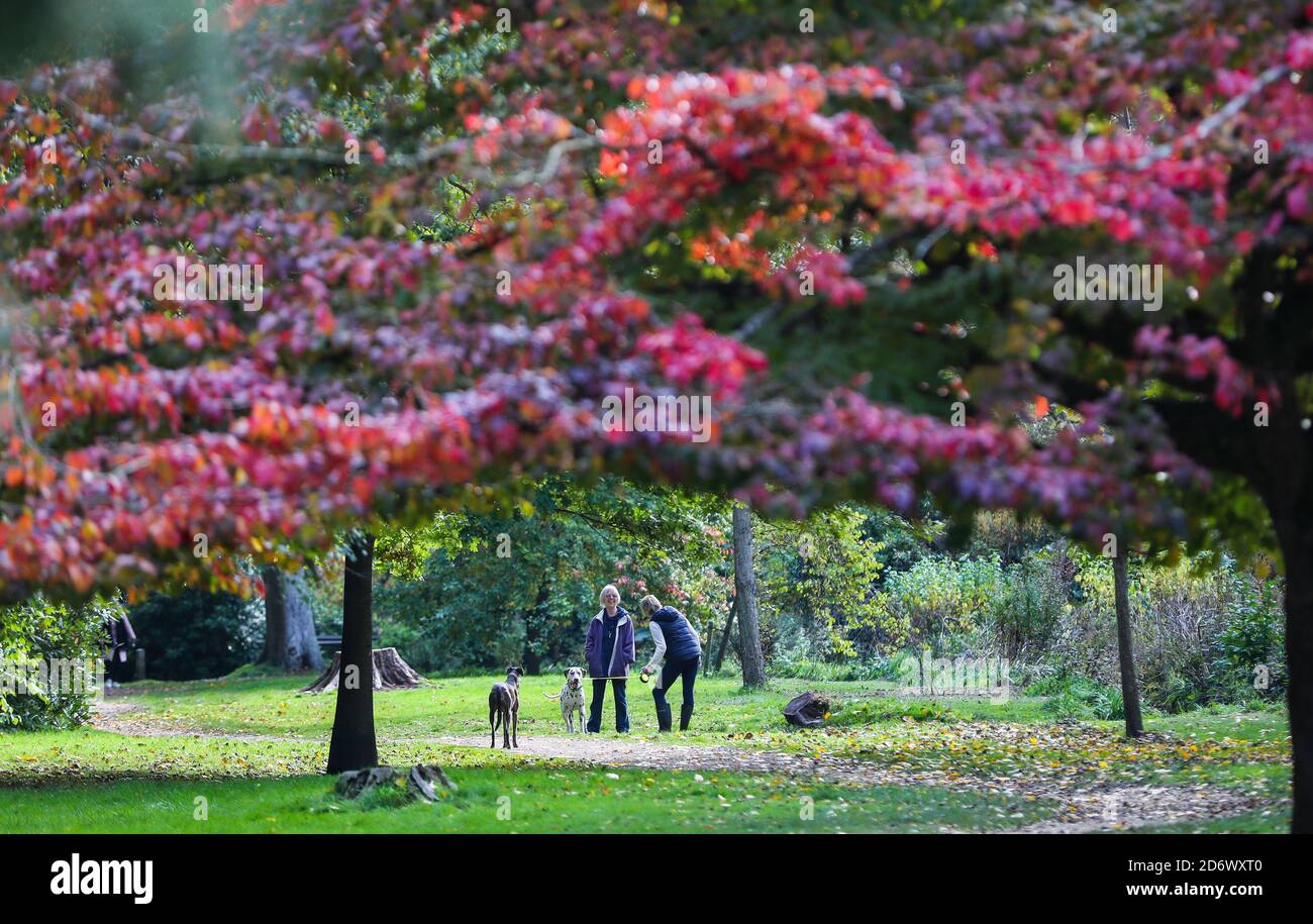 Richard riot hi-res stock photography and images - Alamy