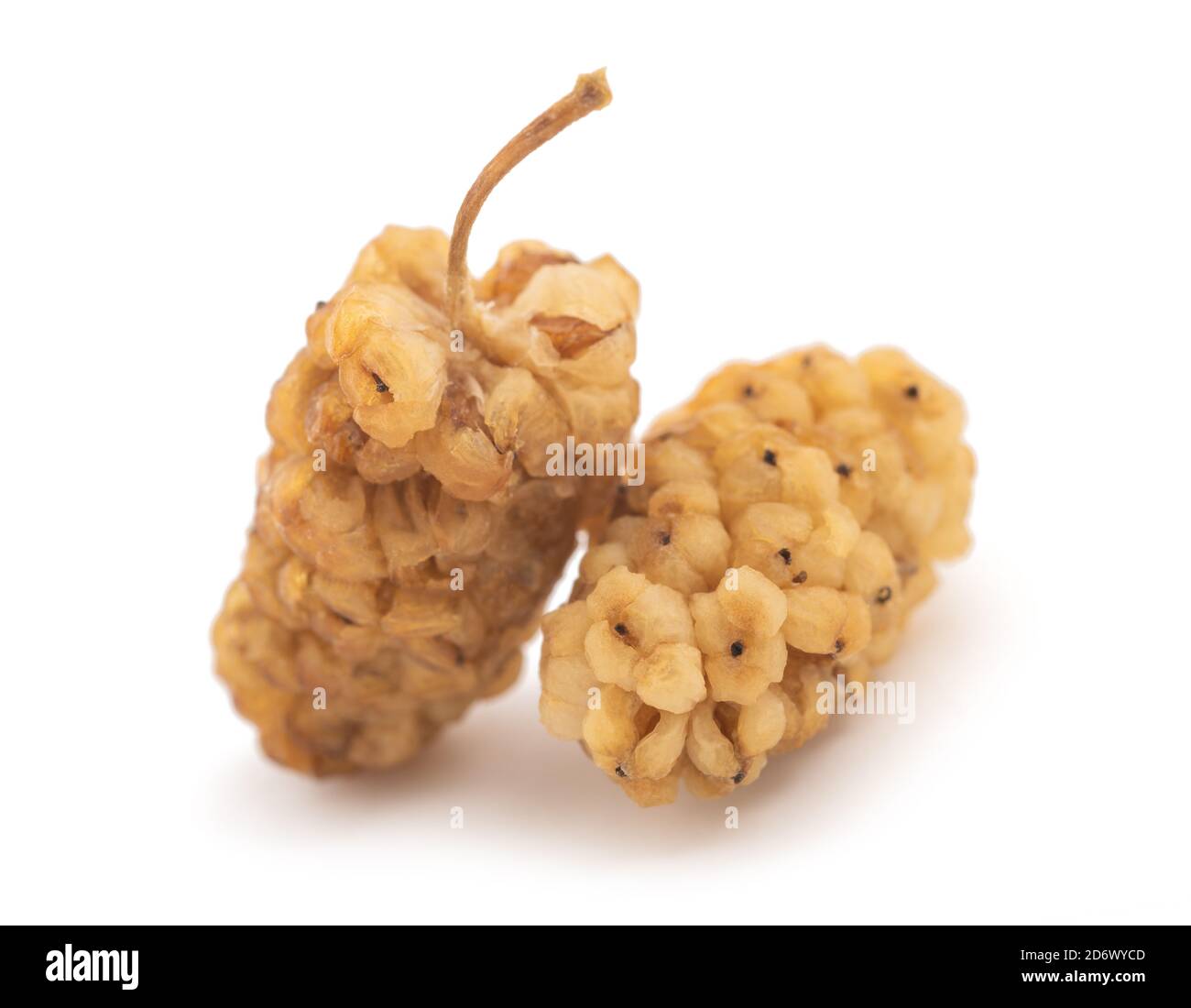 White mulberry isolated on white background Stock Photo - Alamy