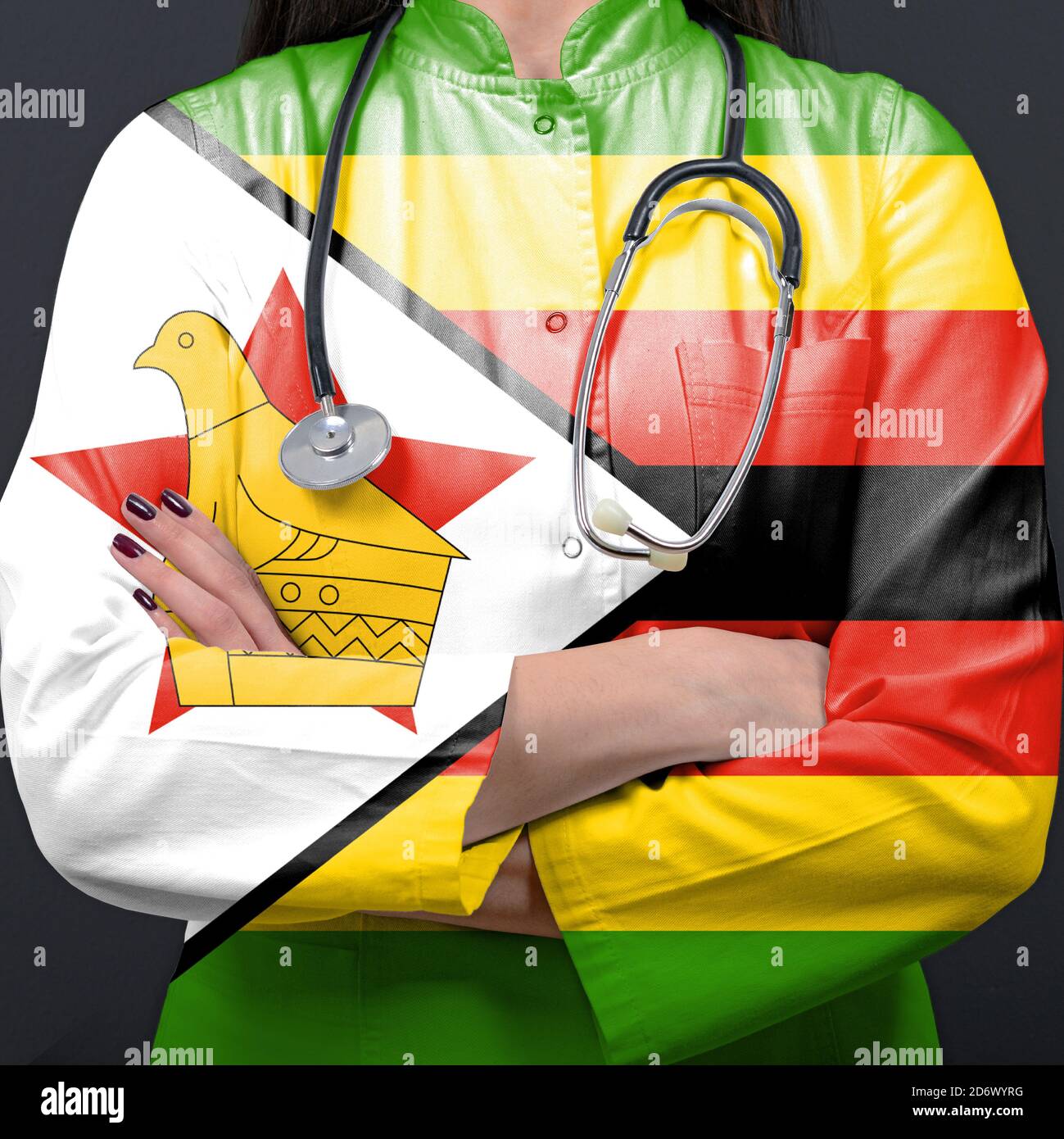 Doctor representing healthcare system with National flag of Zimbabwe ...
