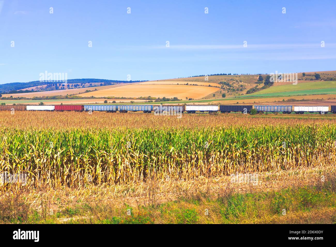 landscape with train at agricultural field . Railroad transportation ...