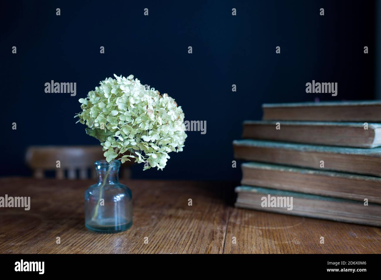 A dried hydrangea flower in a glass transparent vase on a wooden table ...