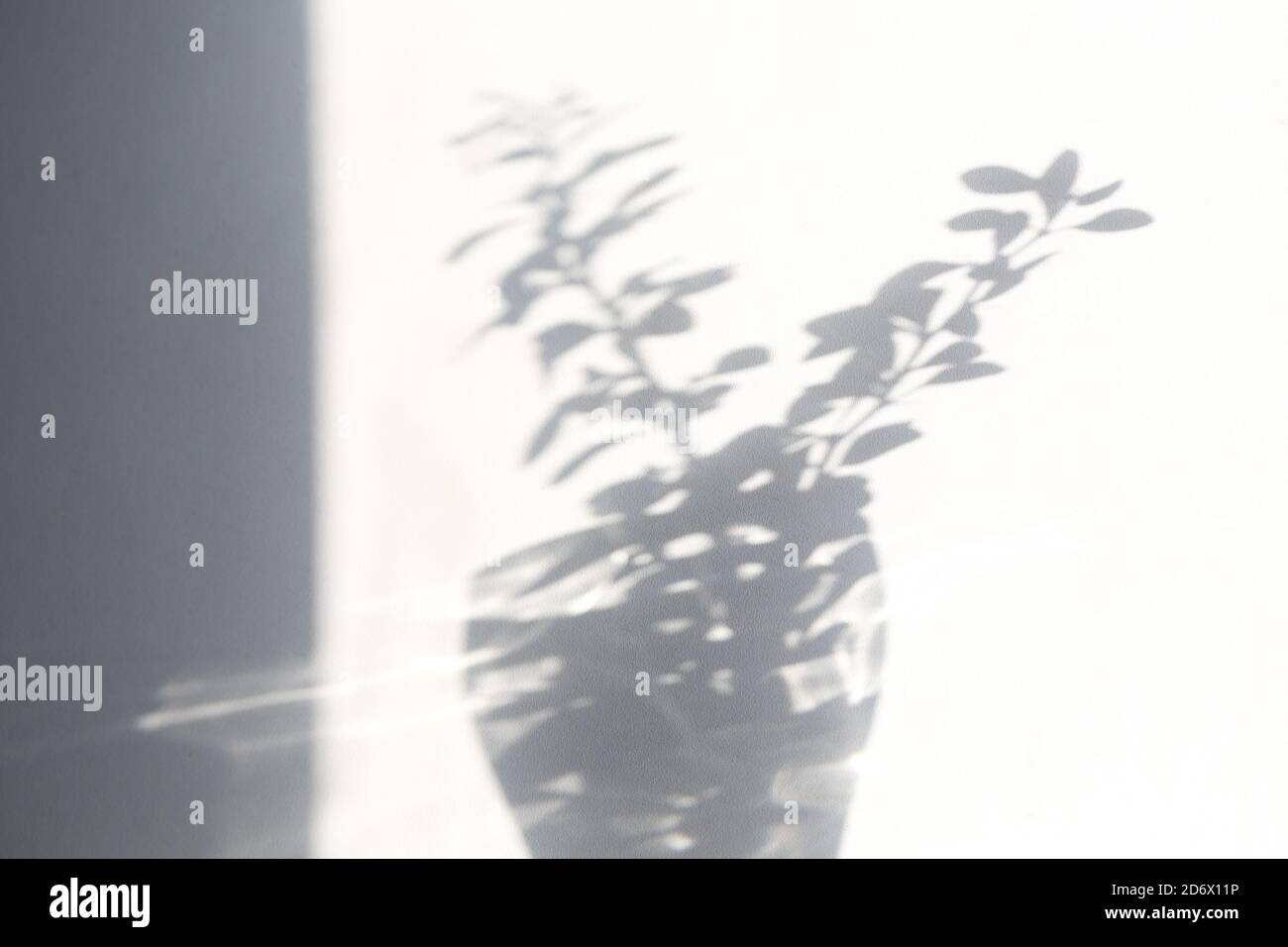 Shadow Backdrop High Resolution Stock Photography and Images - Alamy