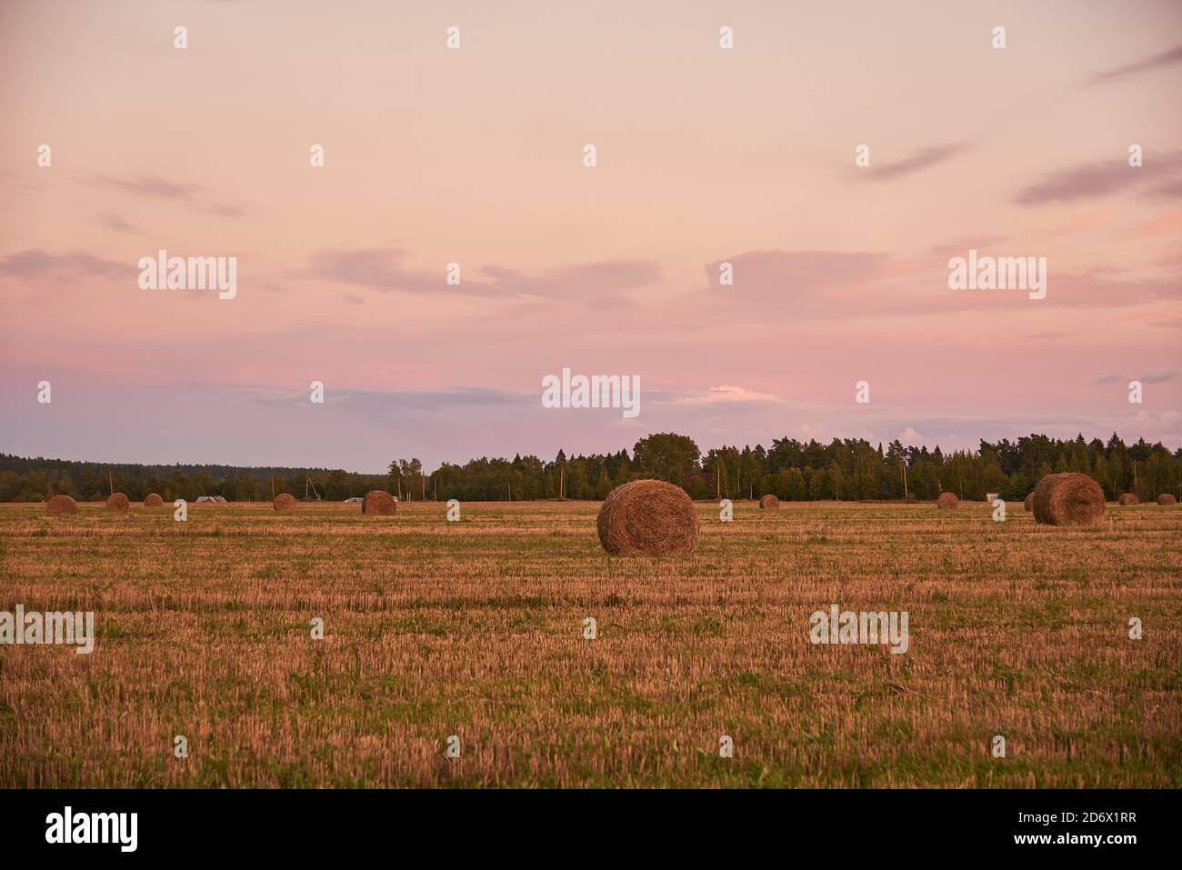 Aerial view field haystacks on hi-res stock photography and images - Alamy