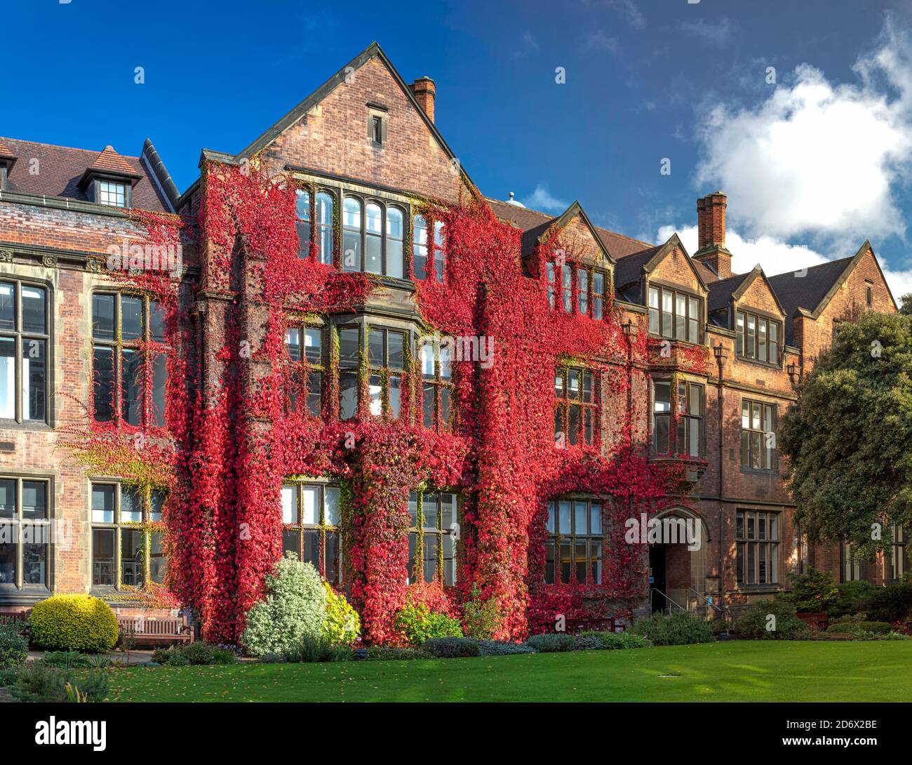 Autumn colours in the quadrangle at Newcastle University, Newcastle ...