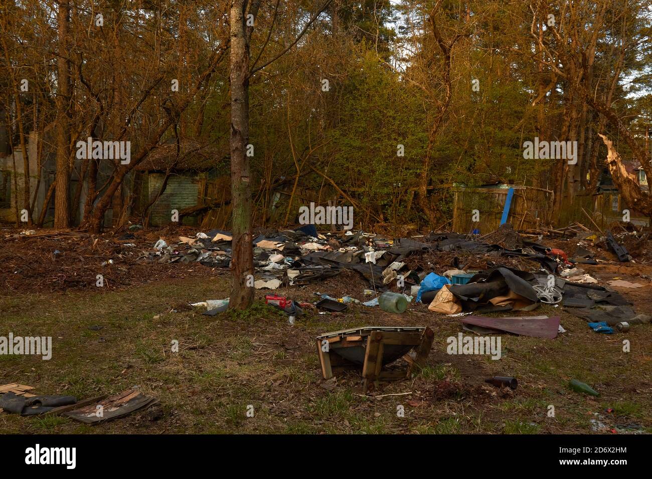 garbage on the ground in the forest Stock Photo - Alamy