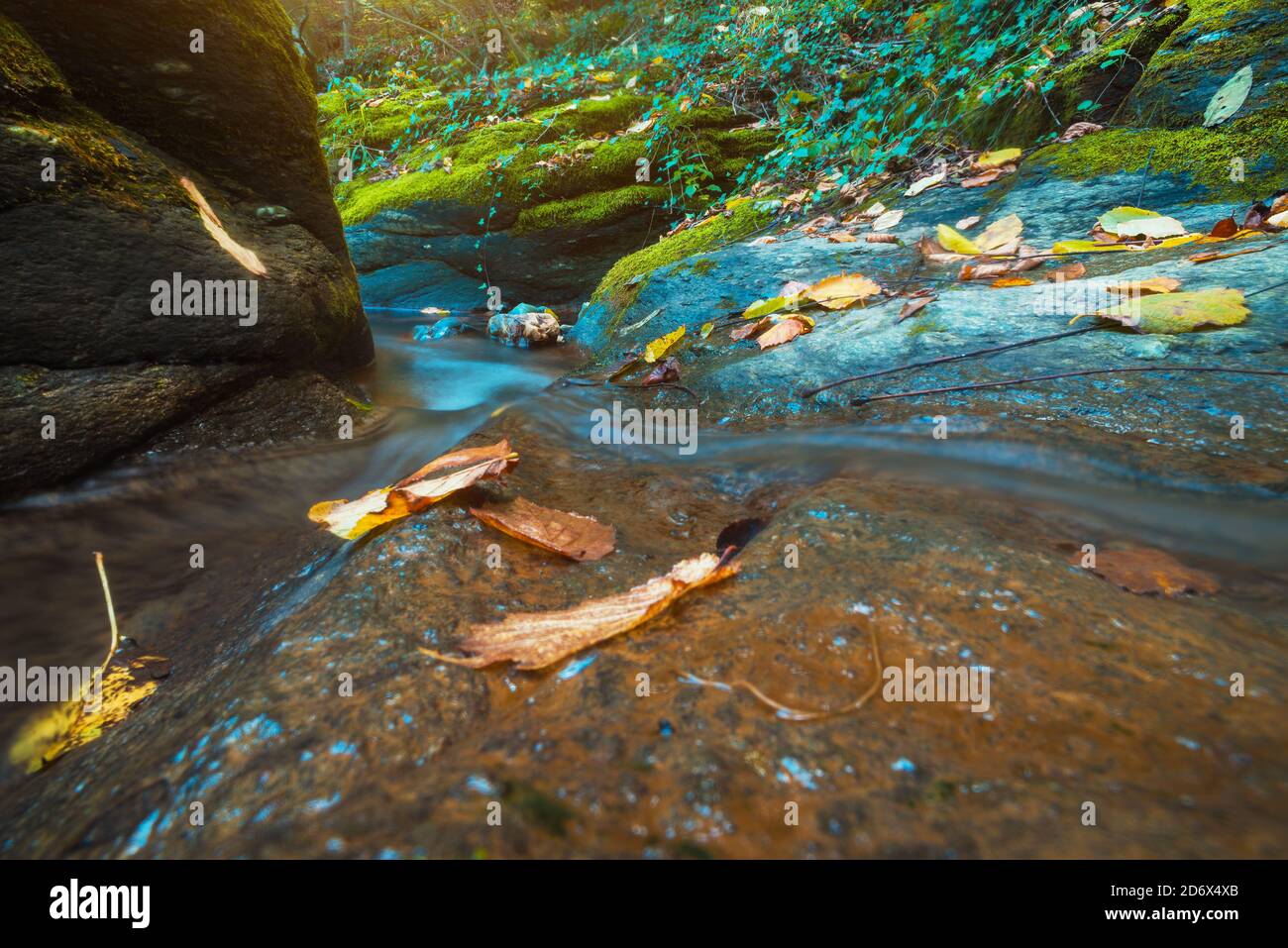 Small water stream waterfall with fallen leaves and moss in autumn ...