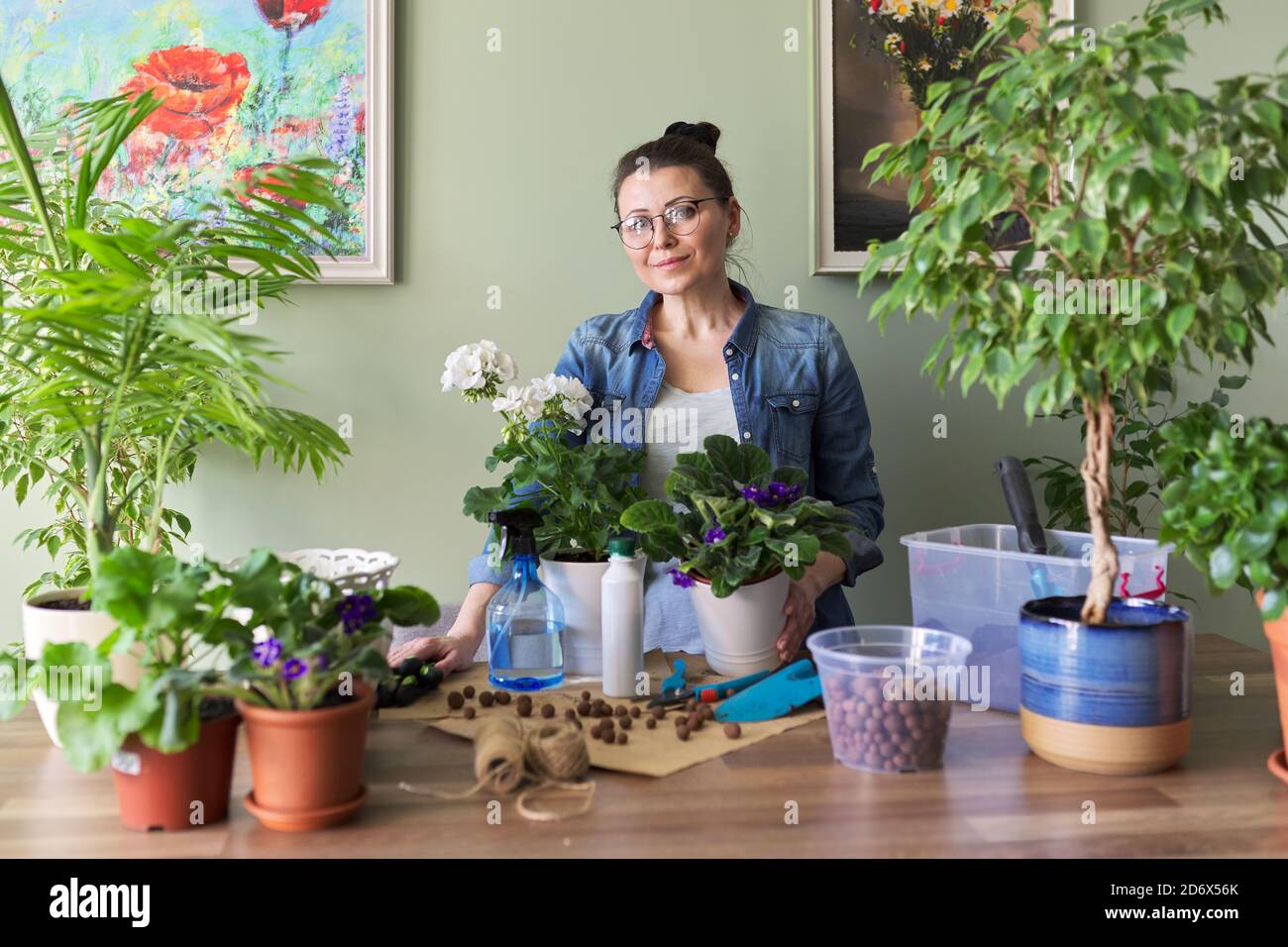 Woman caring for potted plants, replanting, fertilizing Stock Photo - Alamy