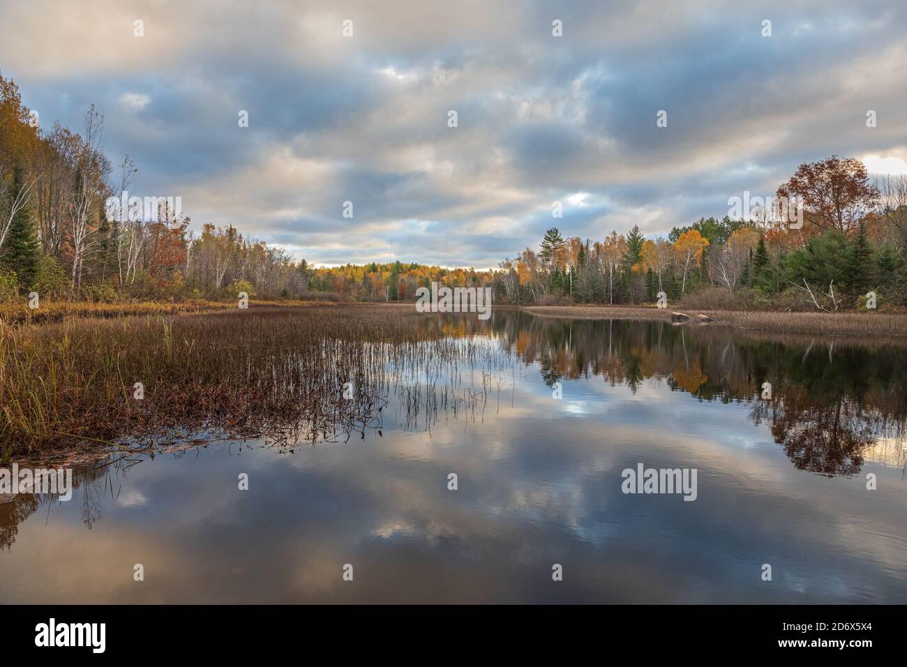 Chippewa national forest hi-res stock photography and images - Alamy