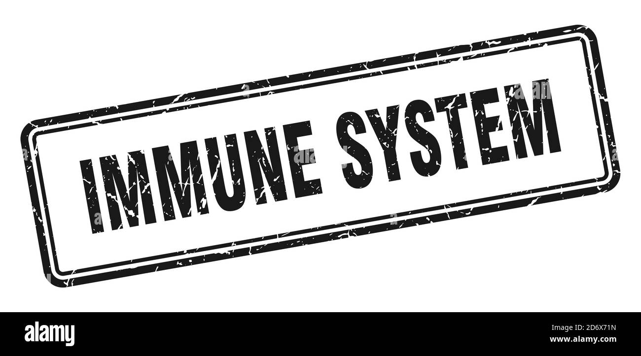 immune system stamp. square grunge sign isolated on white background ...